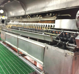 Can Filler Archives - United Food & Beverage